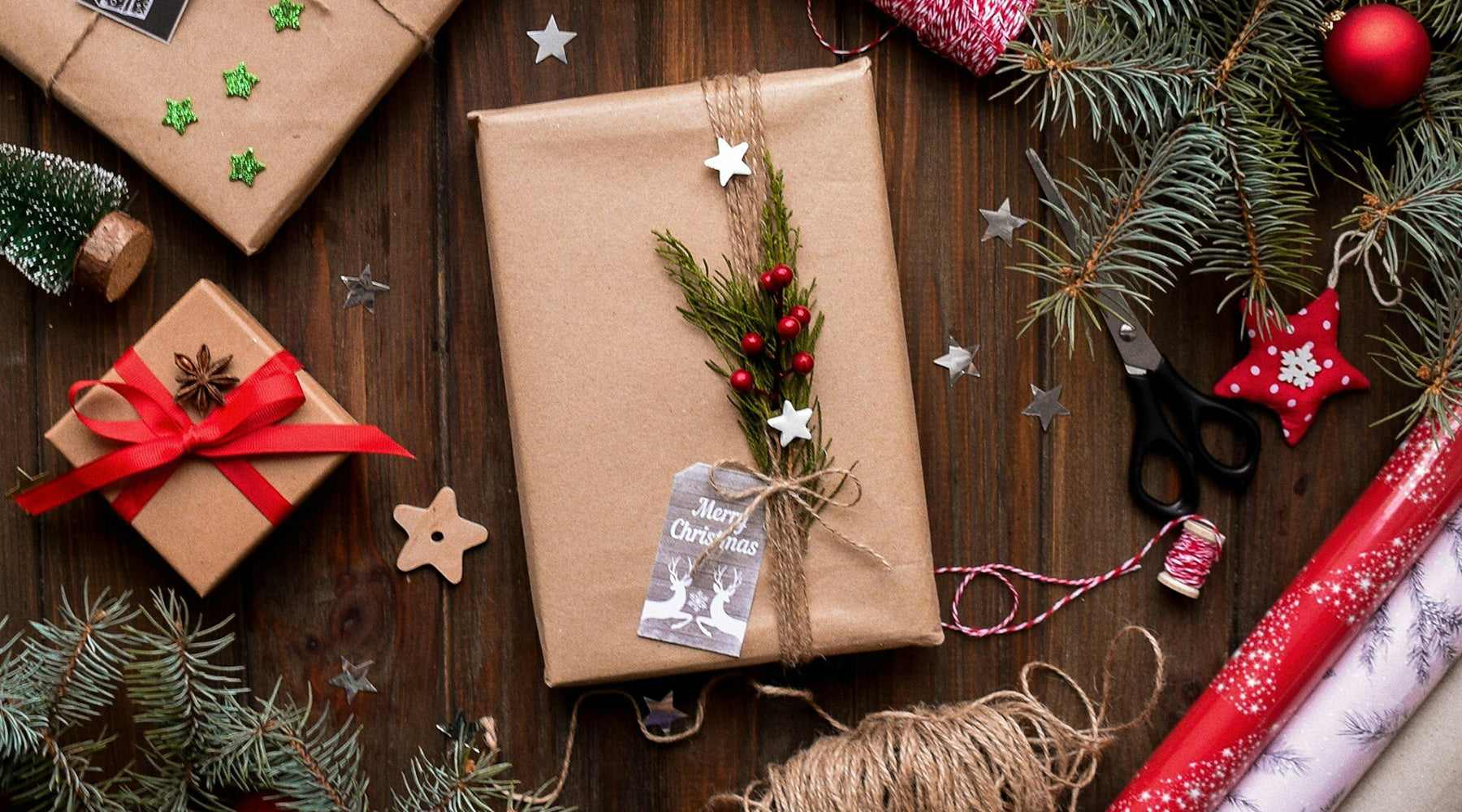 Mindful Giving – Castorvida